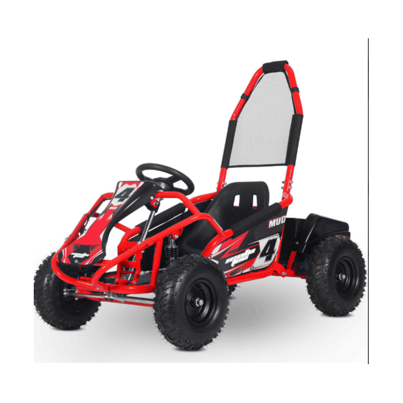 electric go kart sold on Temu United States