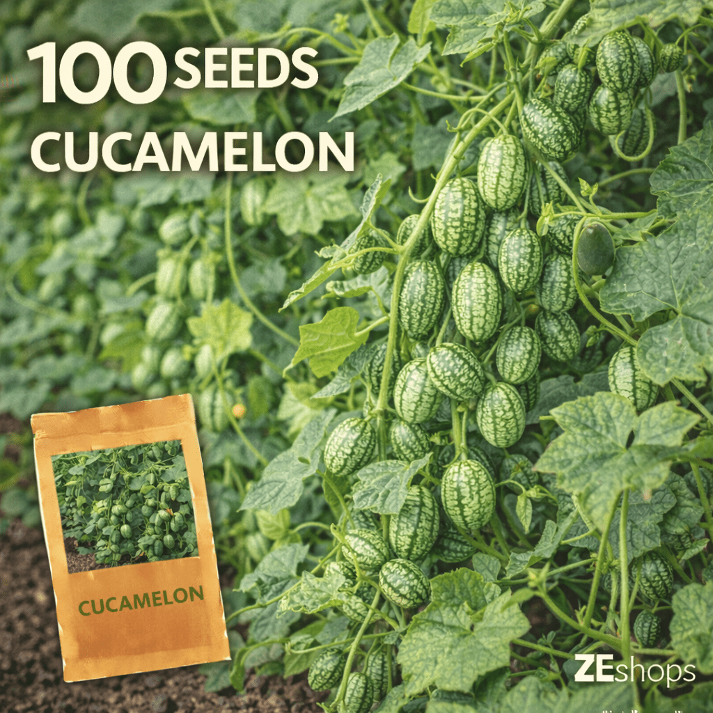 plant seeds sold on Temu United States