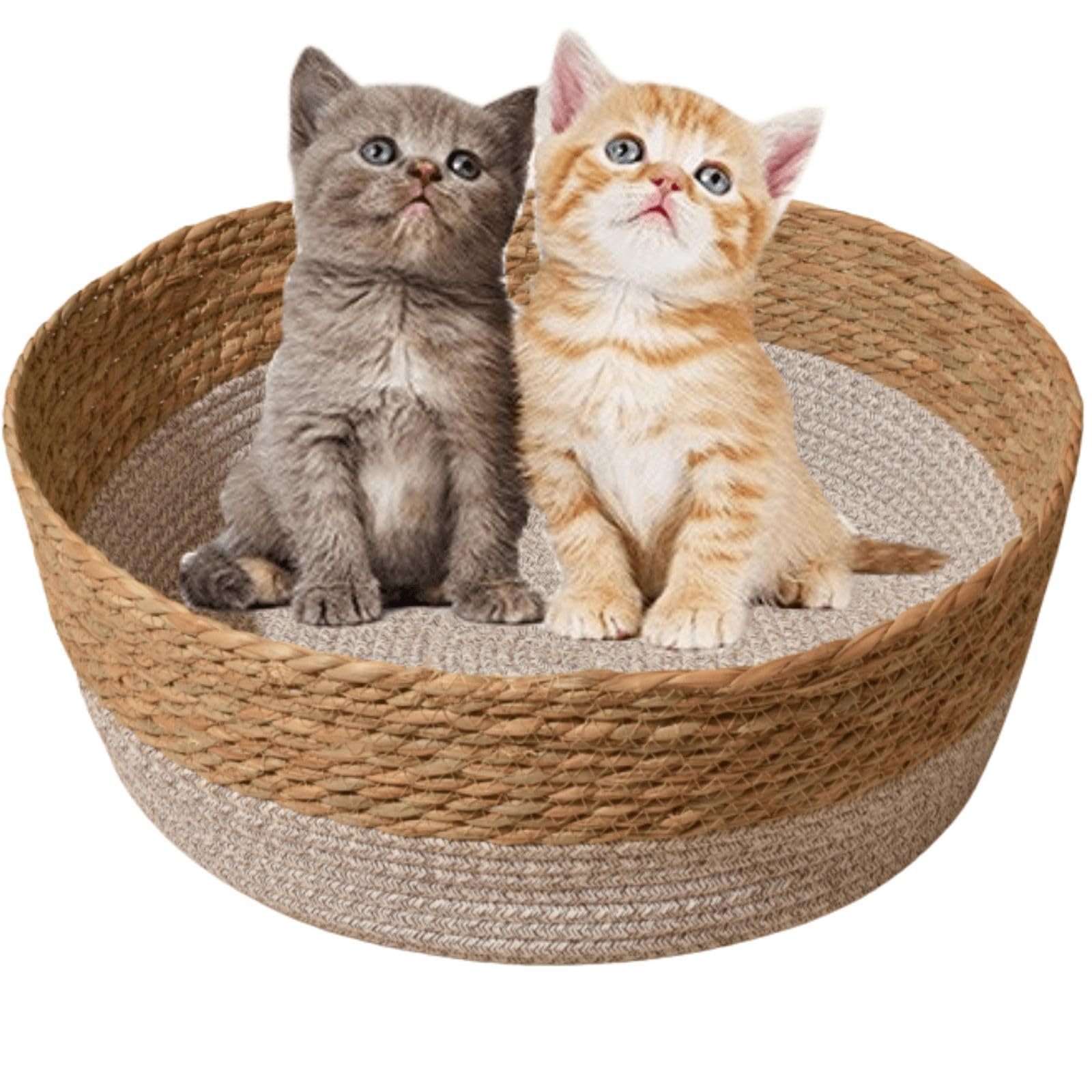 large cat beds sold on Temu United States