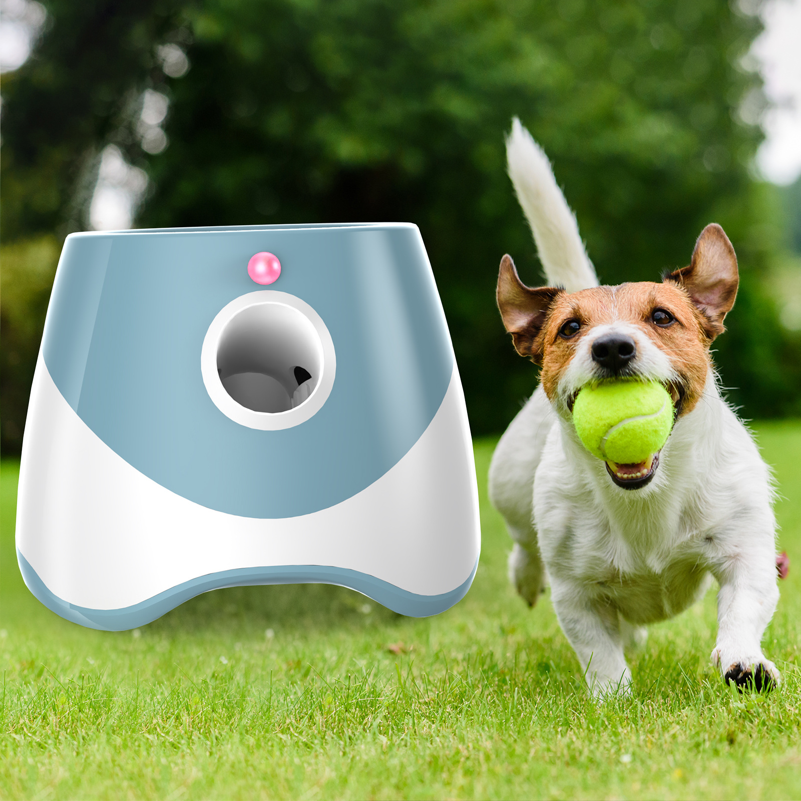 dog ball launcher automatic sold on Temu Australia