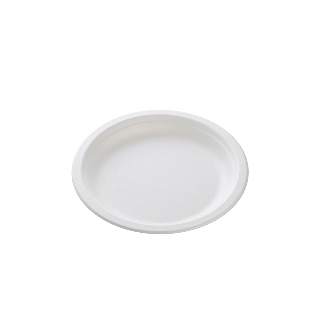 disposable degradable dinner plate party plates wedding - Temu Australia