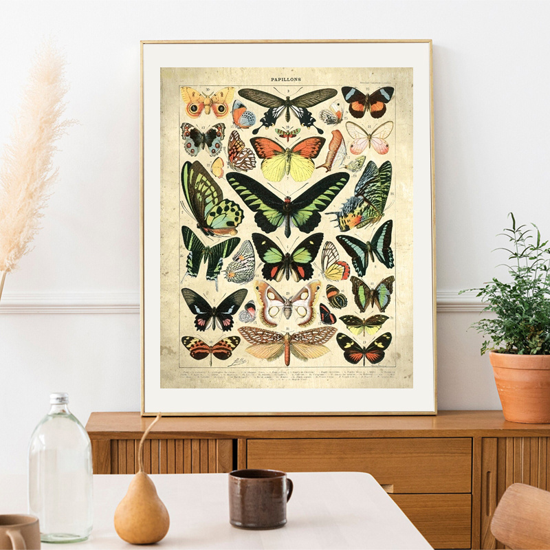 Vintage Butterfly Poster Country Style Hd Canvas Painting - Temu United ...
