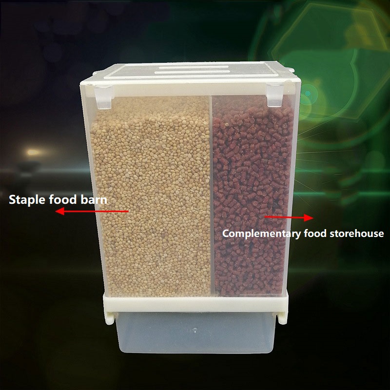 Automatic Bird Feeder Water Dispenser Parrots Cockatiels - Temu Canada