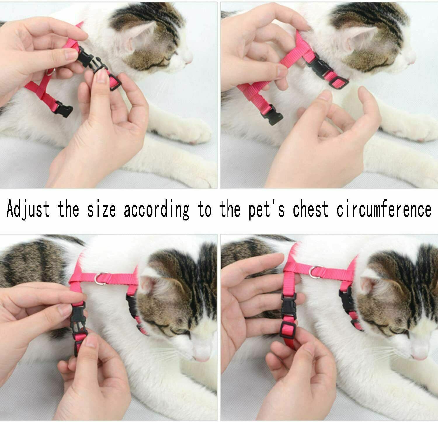 Pet Cat Traction Rope shaped Chest Strap Traction Rope Solid - Temu Norway