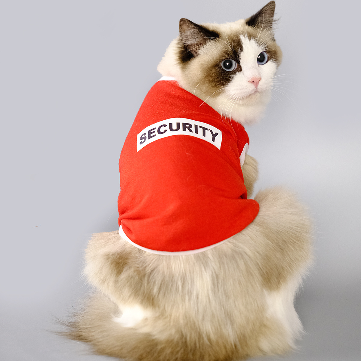 Letter Print Pet Vest Soft Cat Vest For Summer Pet Clothes For Small ...