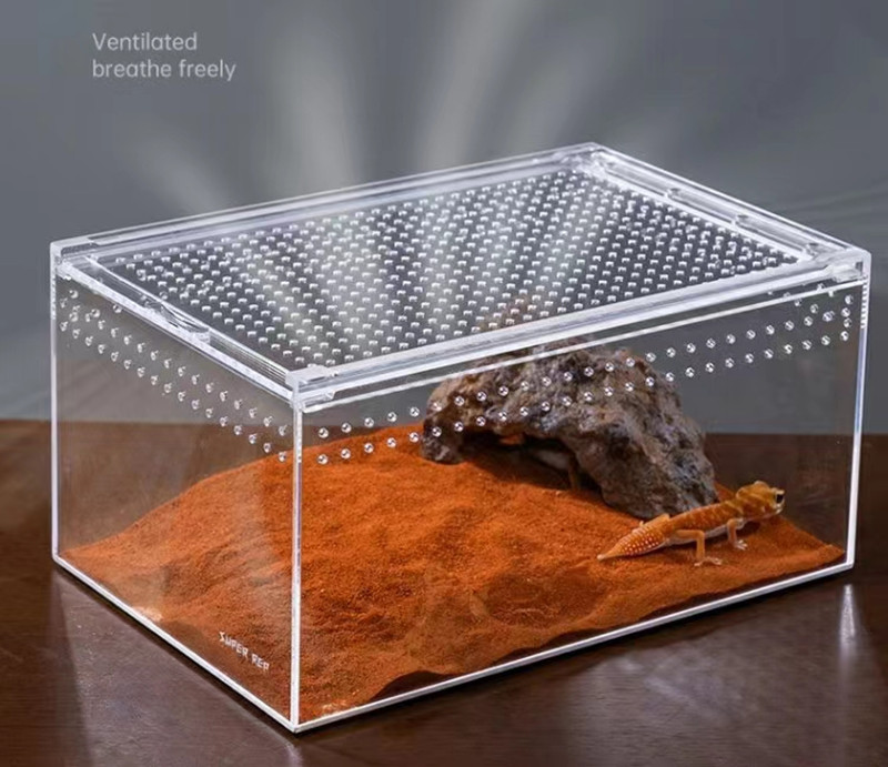 Breeding Box Insects - Temu