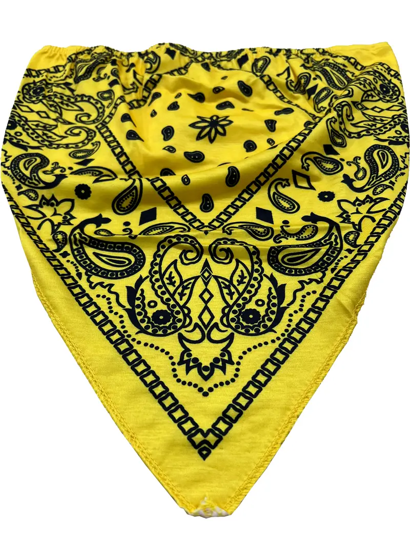 Paisley Print Shoulder Sleeveless Bandana Tube Top Sexy Temu