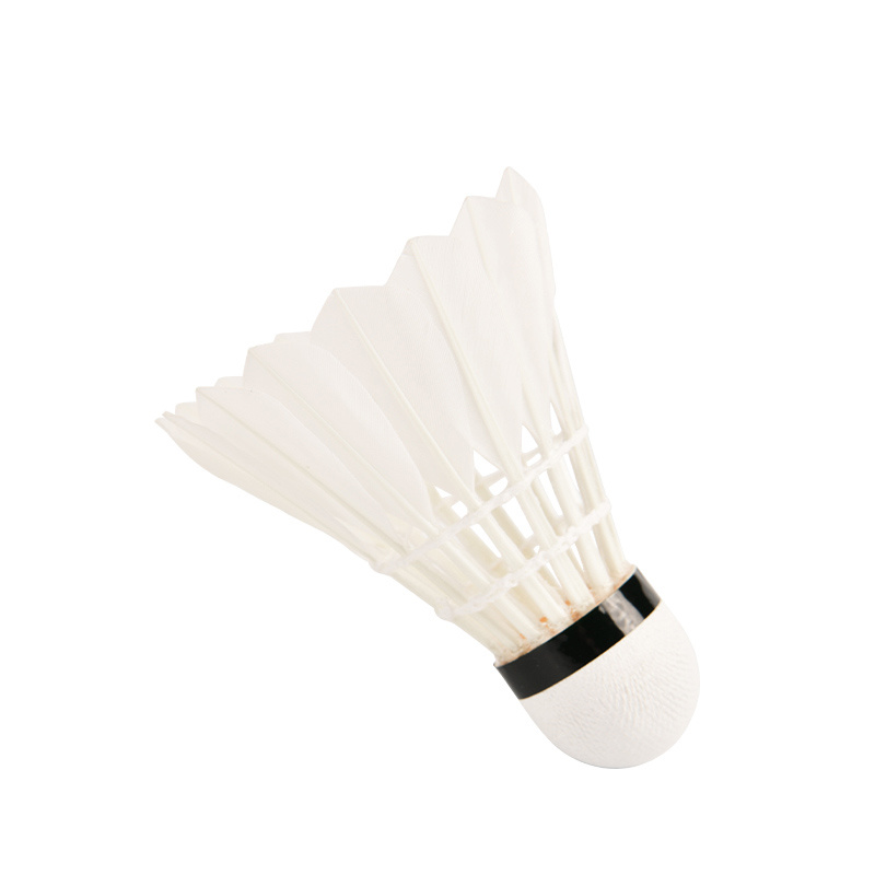 Li Ning Badminton Training Ball Windproof Sports Shuttlecocks For ...