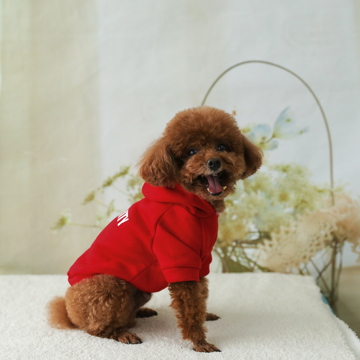 pet clothes dogs hooded sweatshirt autumn winter pet costumes outfits ...