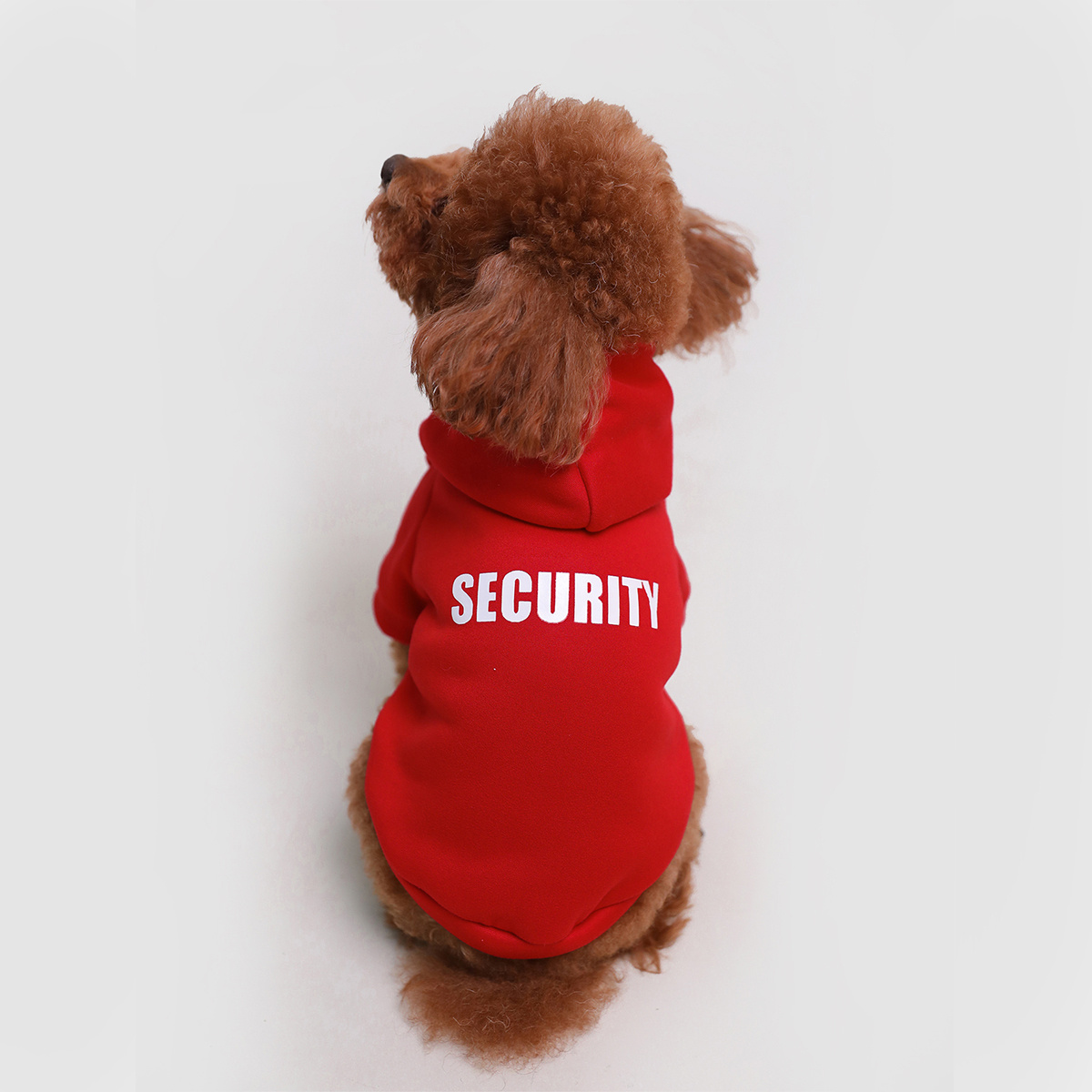 pet clothes dogs hooded sweatshirt autumn winter pet costumes outfits ...