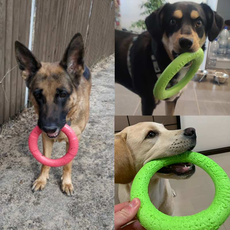 Dog Training Toys Outdoor Floating Disc - Temu Australia