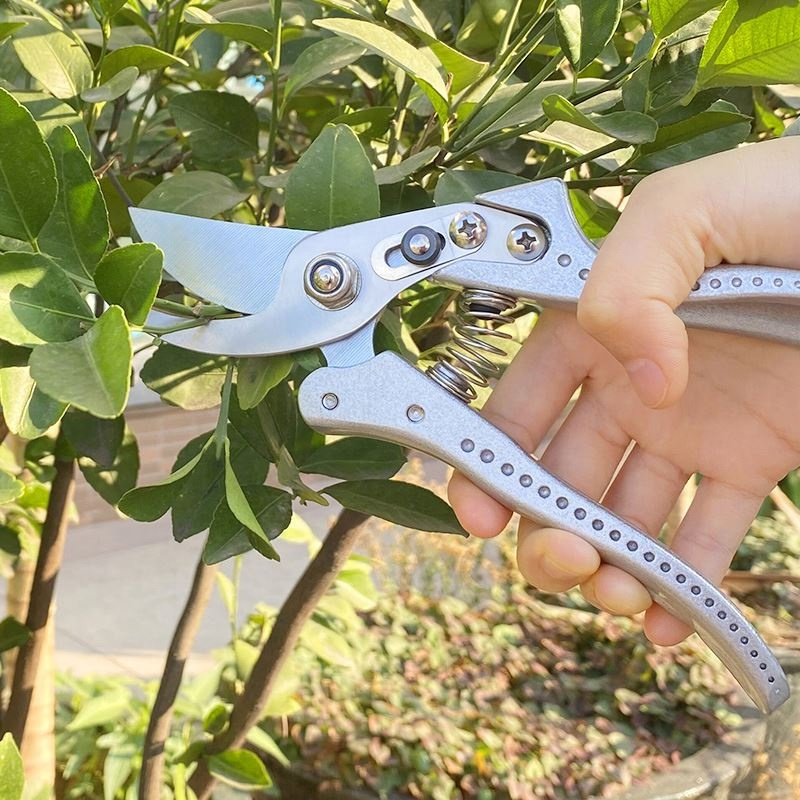 Garden Pruning Scissors Gardening Shears Pruners Flower Temu Netherlands
