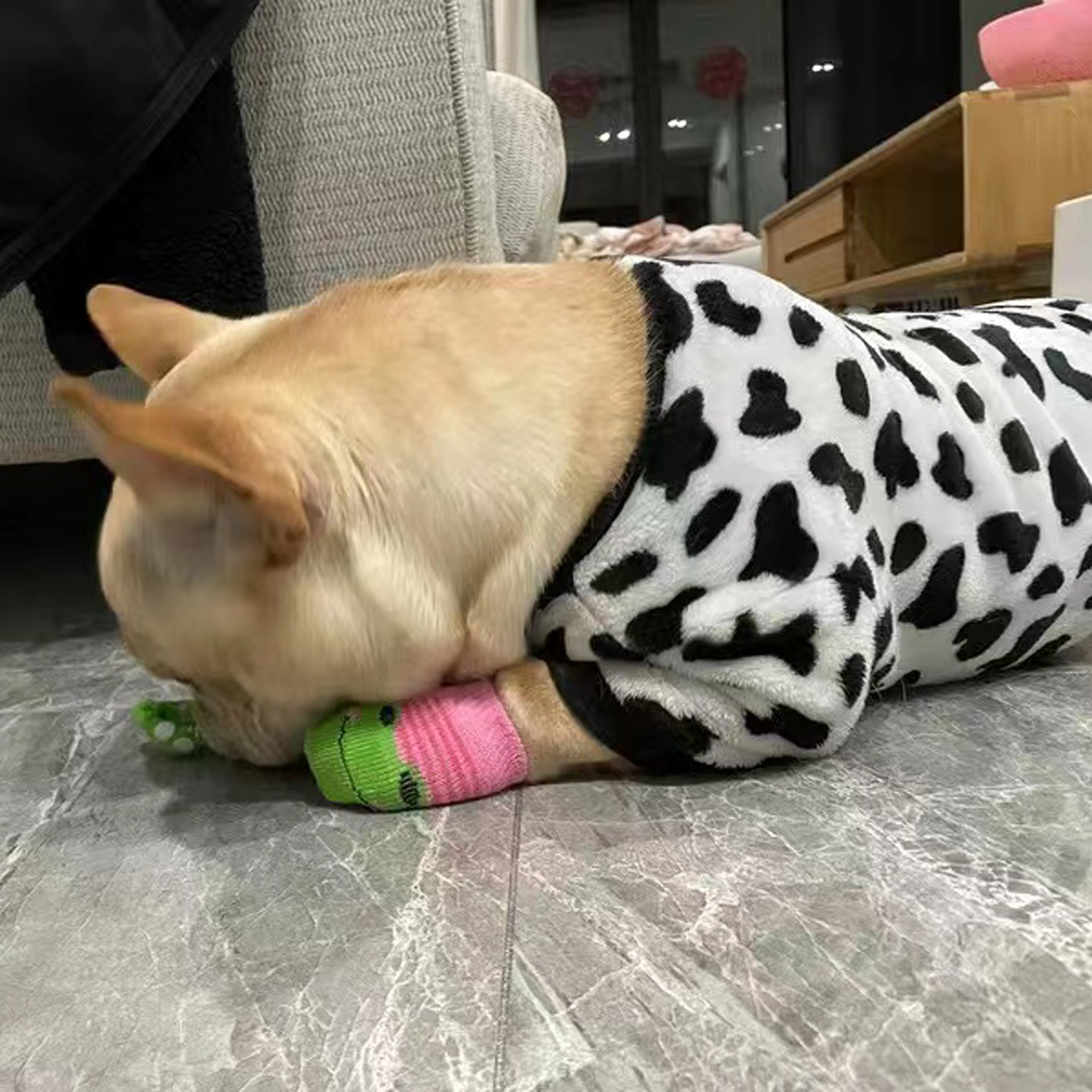 Pet Socks For Dog Cat Dog Socks With Frog Pattern Warm - Temu United ...