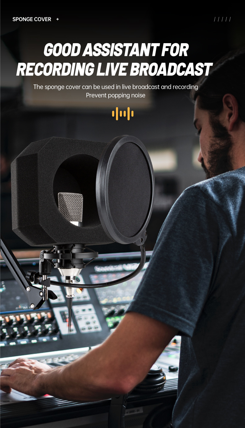 Professional Studio Microphone Screen: Acoustic Filter - Temu Sweden