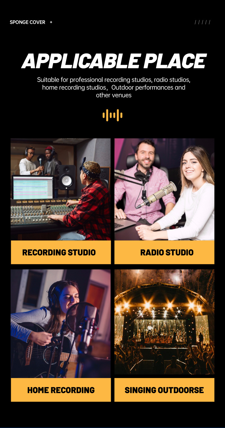 Professional Studio Microphone Screen: Acoustic Filter - Temu