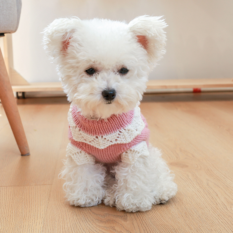 1枚【超可愛い】ペット用冬服 犬用セーター 桜色 雛菊 お姫様 暖かい 柔らかい 秋冬 防寒保温 日常着 部屋着 パーティー 撮影 小型品種用