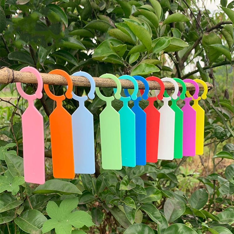 10pcs thickened quality gardening plant ls plastic number plate grape ...
