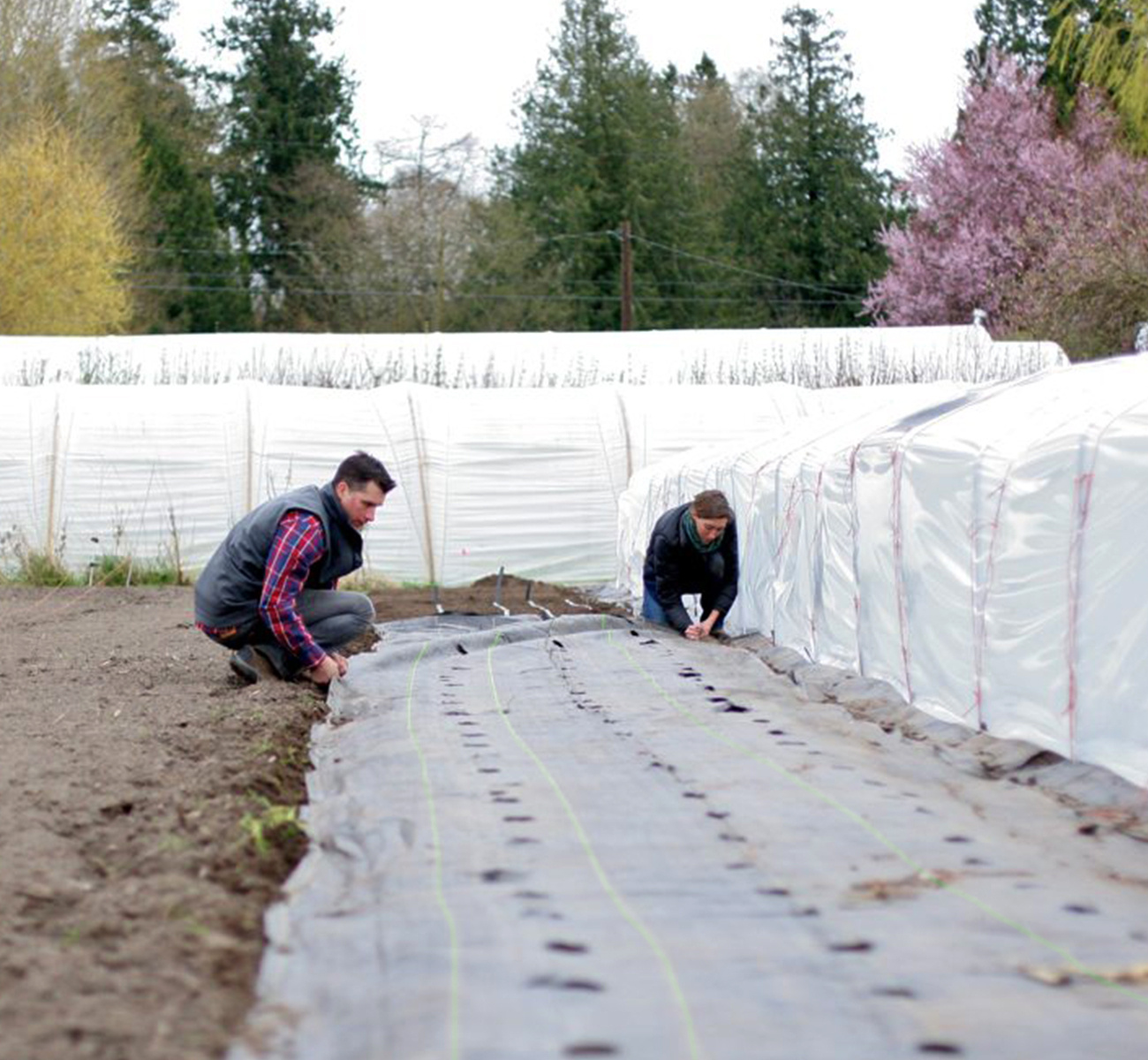 Heavy Duty Control Fabric 6 U shaped Securing Pegs - Temu