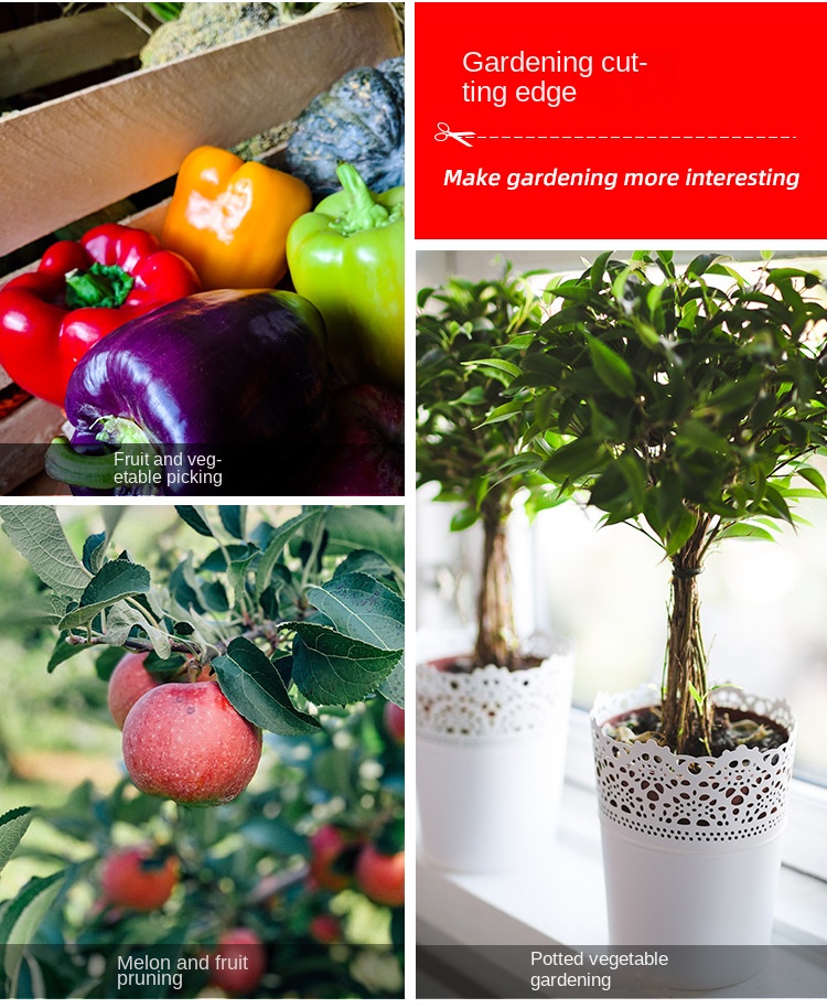 Garden Pruning Scissors Picking Fruit Trees Flowers Branches - Temu