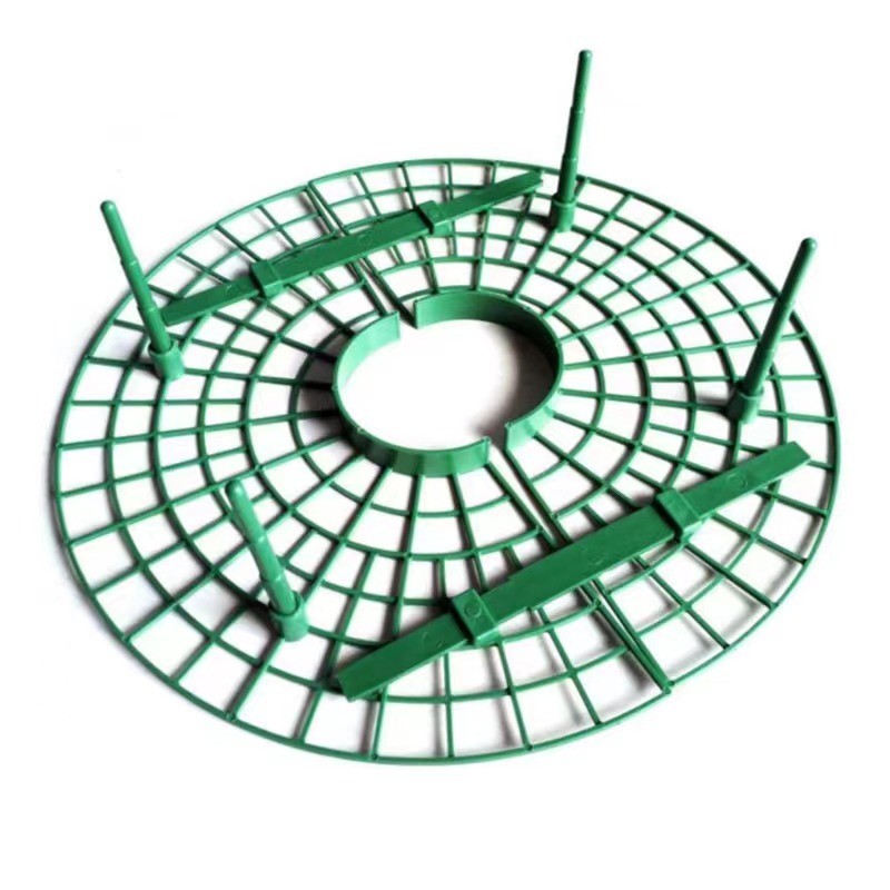 Strawberry Stand Strawberry Plant Support Strawberry Growing - Temu