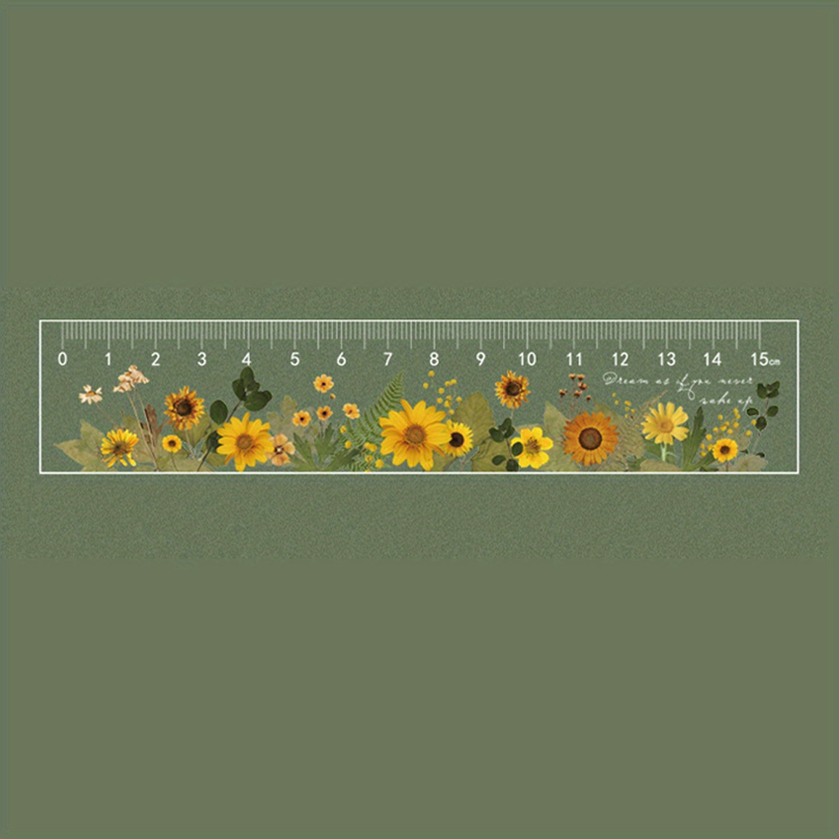 plant clear ruler acrylic ruler school ruler centimeters - Temu