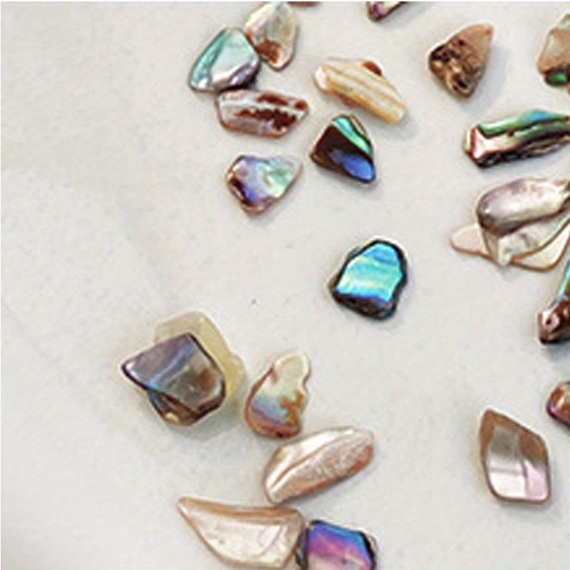 Nail Decorations Mix Sizes 3d Abalone Seashell Fragments - Temu United ...