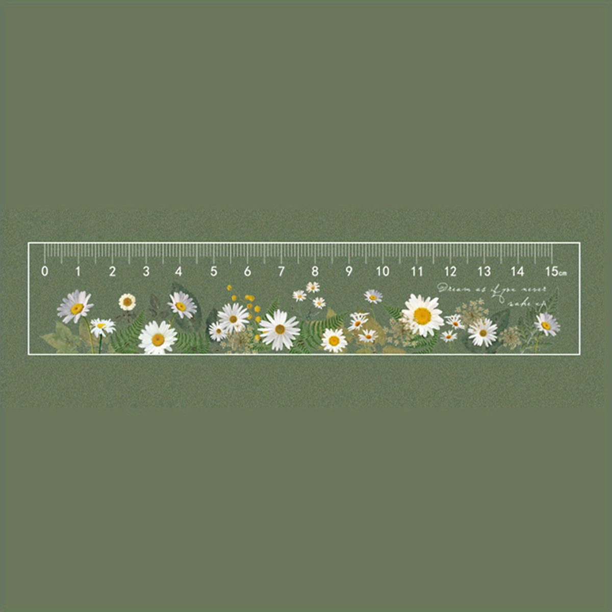 plant clear ruler acrylic ruler school ruler centimeters - Temu