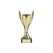 Trophies, Medals & Awards - Free Shipping On Items Shipped From Temu