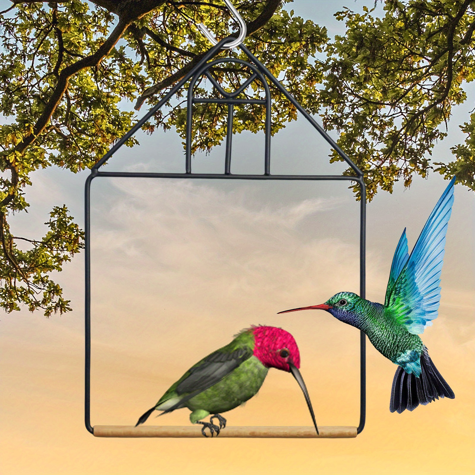 bird swing natural wooden cage bird toy parrot cage - Temu New Zealand