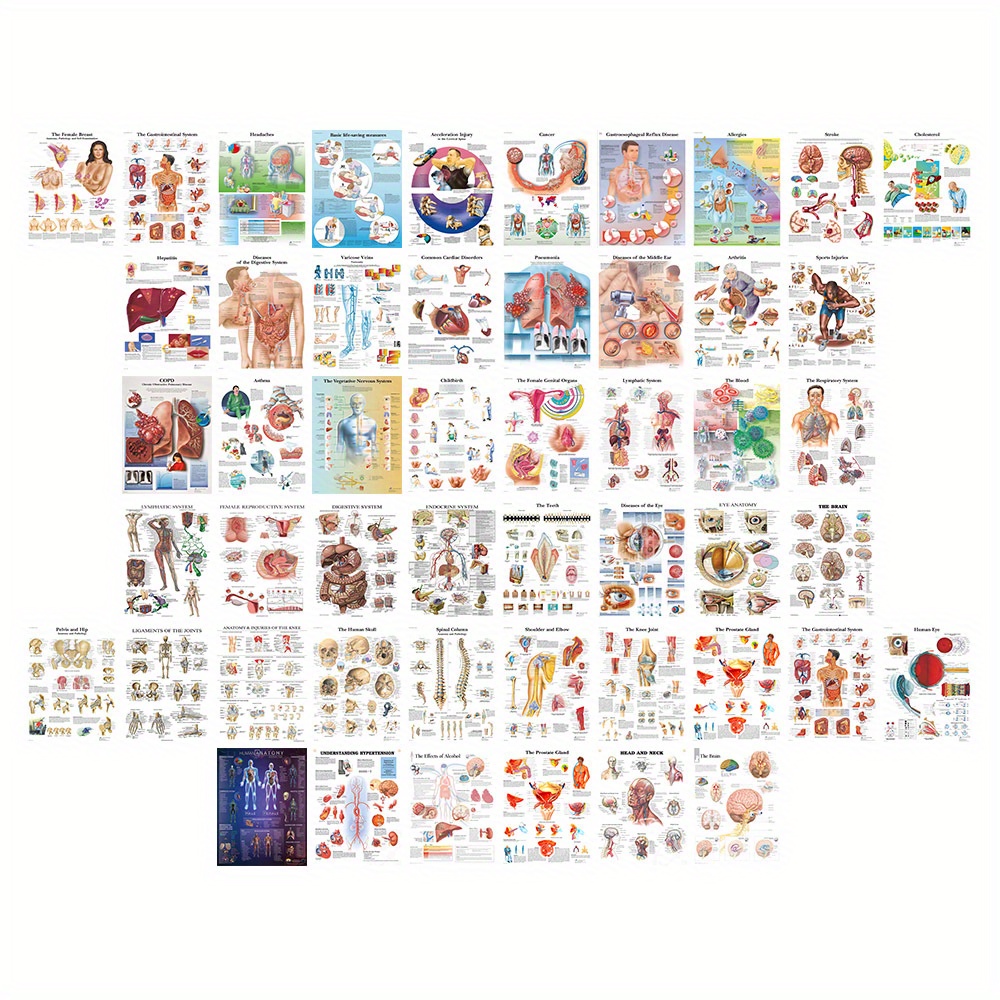 Postcard Set:human Art Series Collage Medical Knowledge Wall - Temu