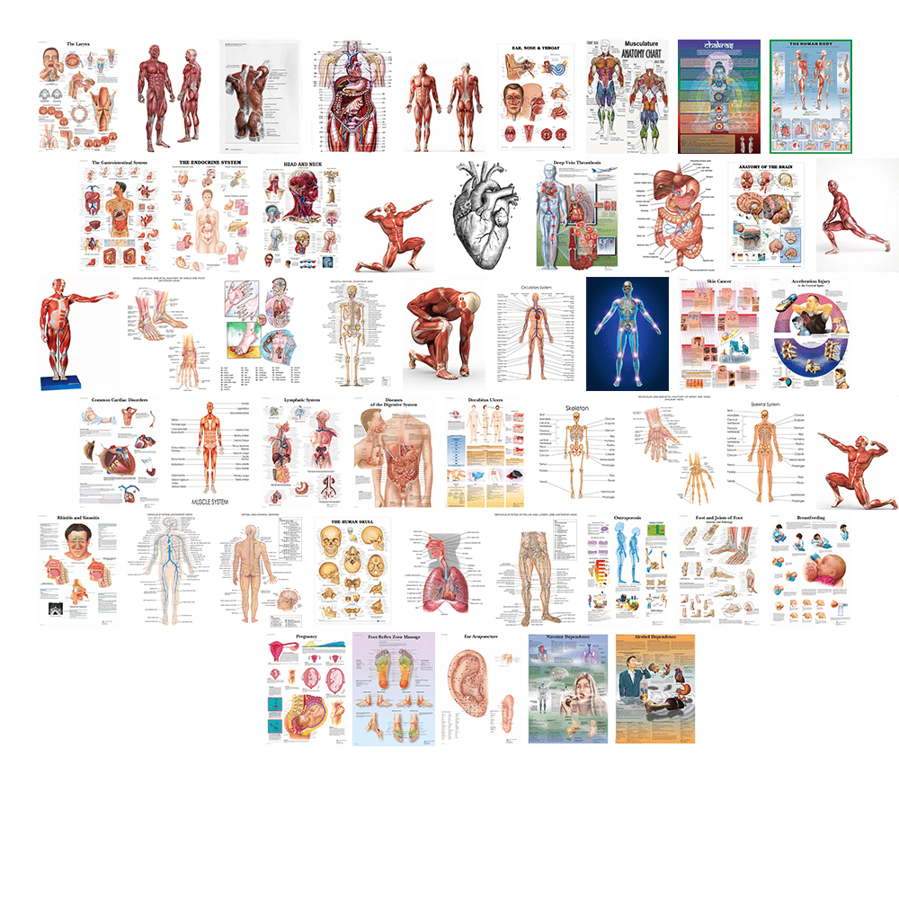 Postcard Set:human Art Series Collage Medical Knowledge Wall - Temu