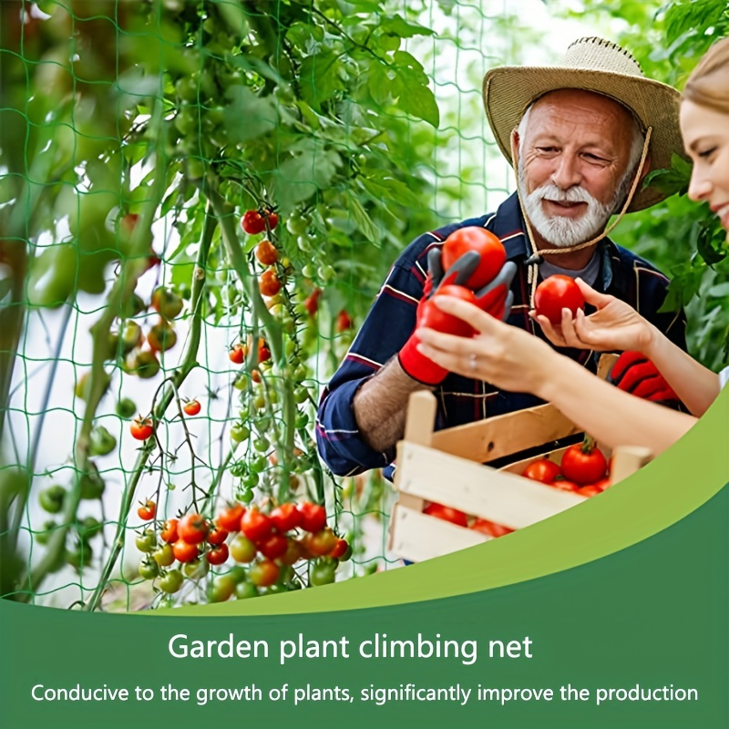 Trellis Netting Vine Net Climbing Plants Reusable - Temu United