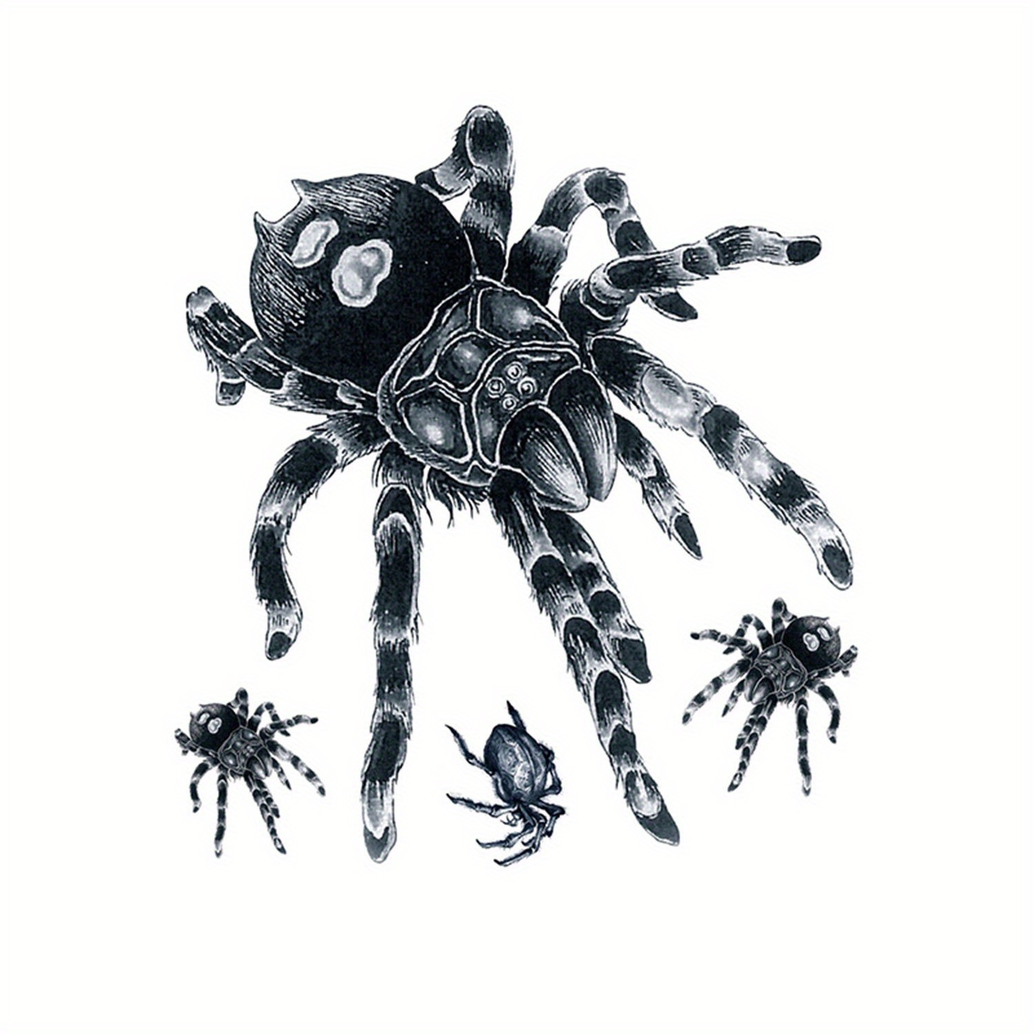Temporary Spider Tattoo Stickers 1 Sheet With 4 Designs Suitable For ...
