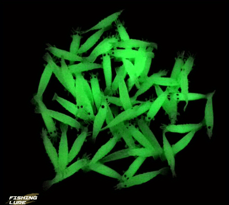 soft artificial glow shrimp - {region_name}