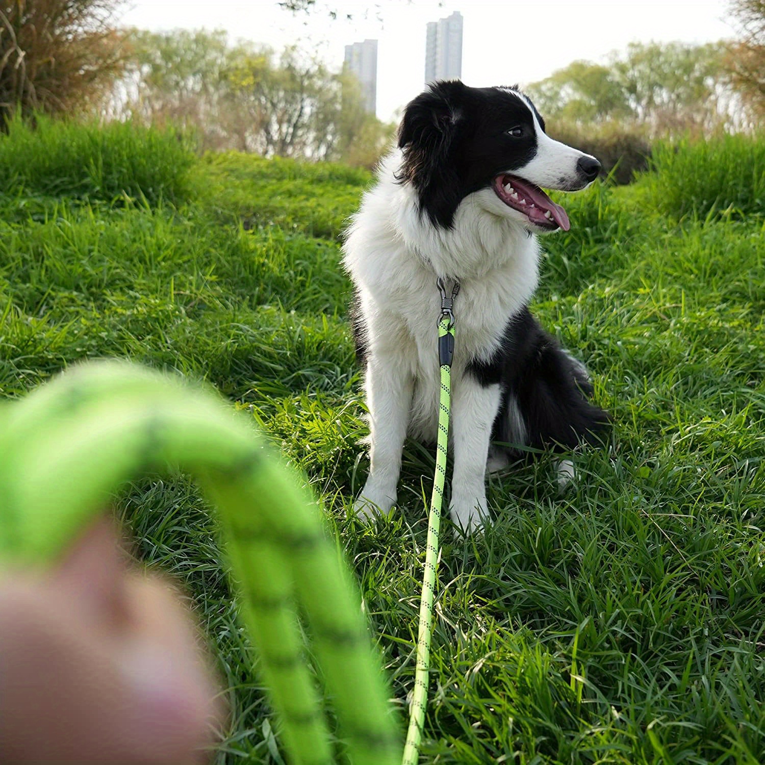 Heavy Duty Dog Leash: Comfortable Padded Handle Walking - Temu Philippines