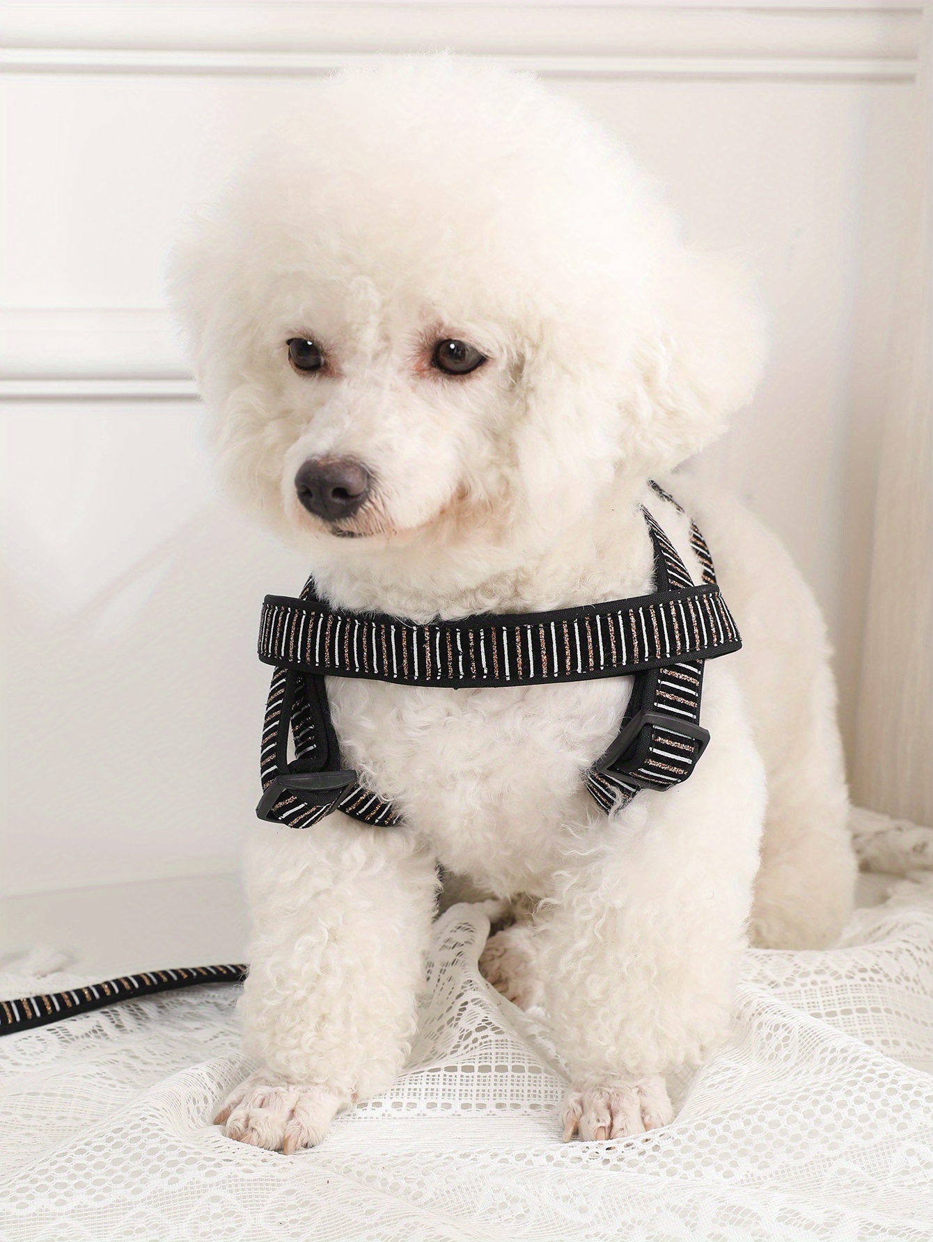 Long Adjustable Striped Black Nylon Cord Flat Rope Dog - Temu Canada