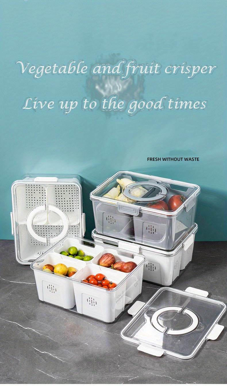 Multi grid Food Drain Box: Refrigerator Organizer Fruits - Temu United ...