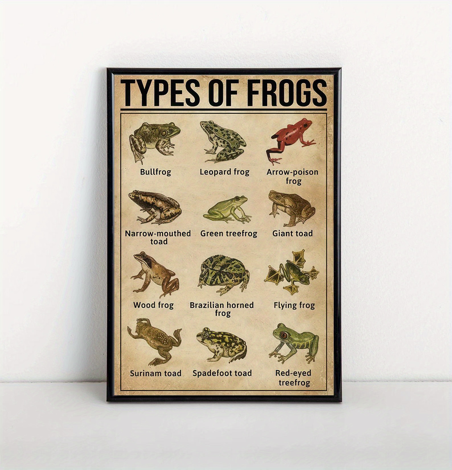 Vintage Frogs Canvas Print Retro Animal Pattern - Temu New Zealand