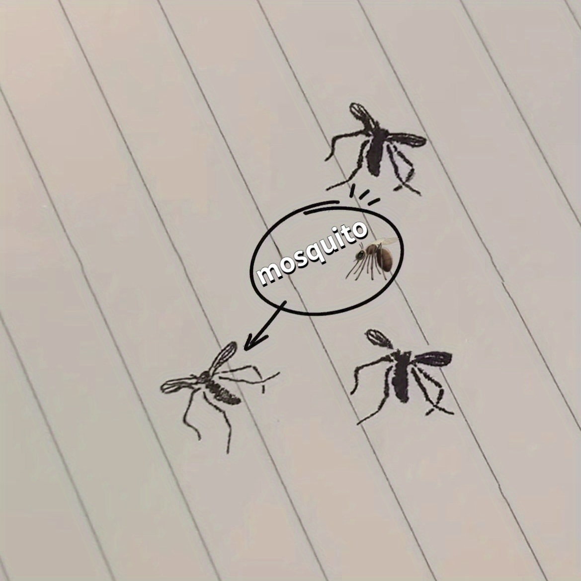 Dead Mosquito Seal Spoof Slap Funny Cartoon Funny - Temu Australia