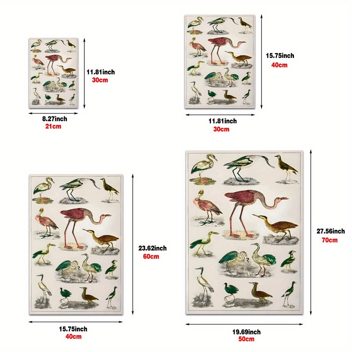 antique flightless birds poster vintage style - Temu Ireland