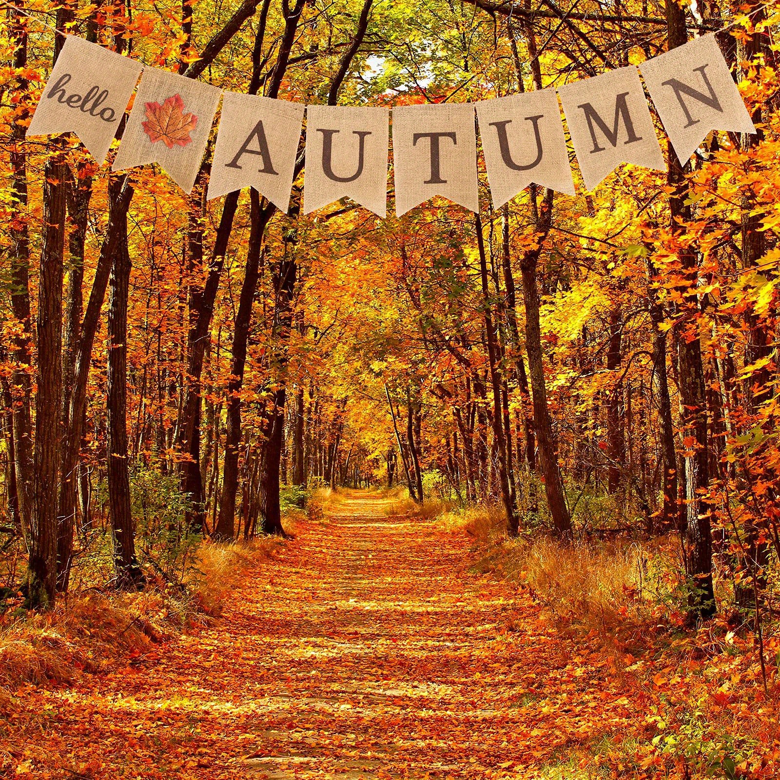 Hello Autumn Letter Garland Hanging Banner Brown Letter - Temu United ...