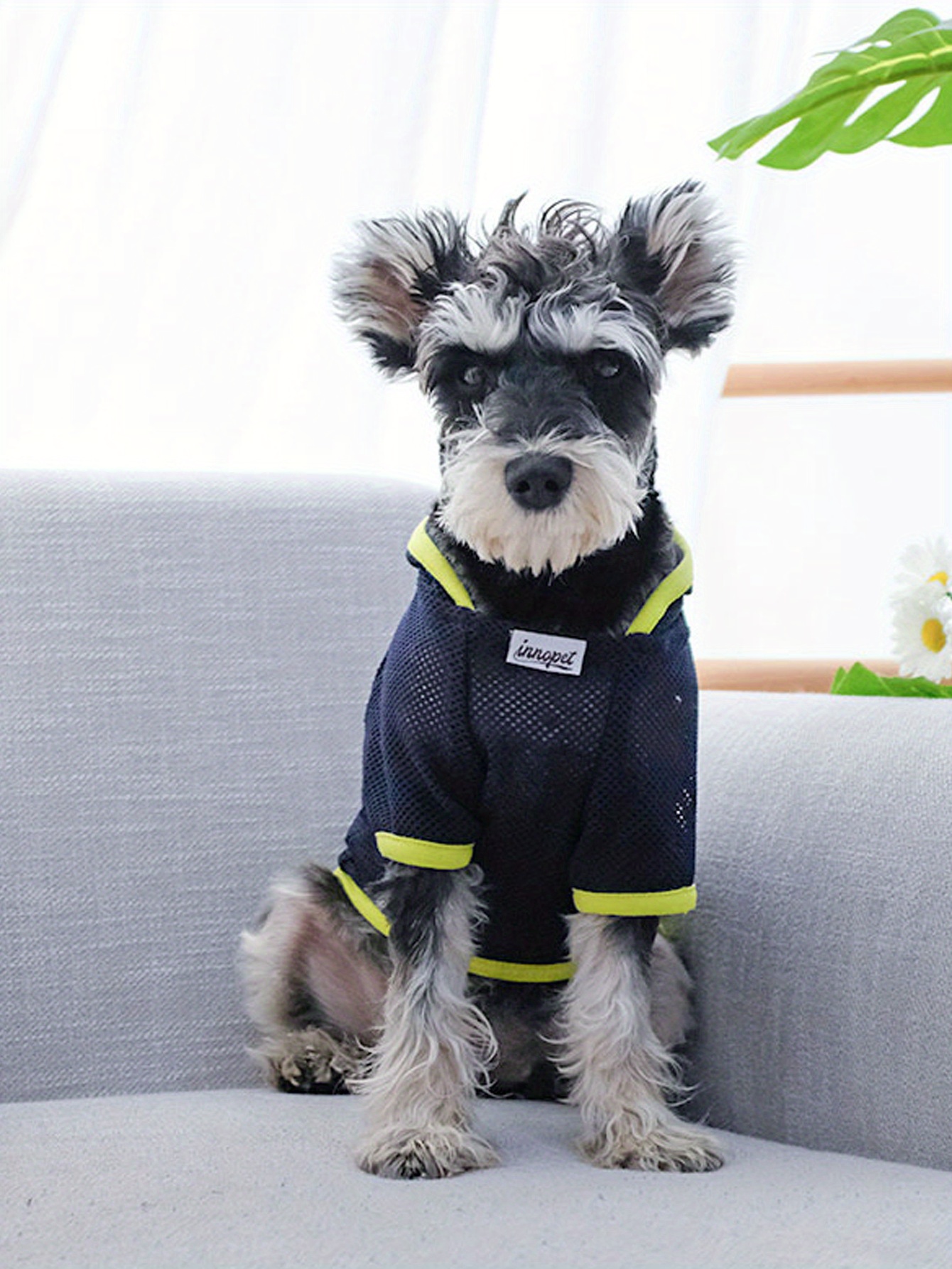 1pc pet cute breathable mesh hooded t shirt clothes for dogs and cats ...