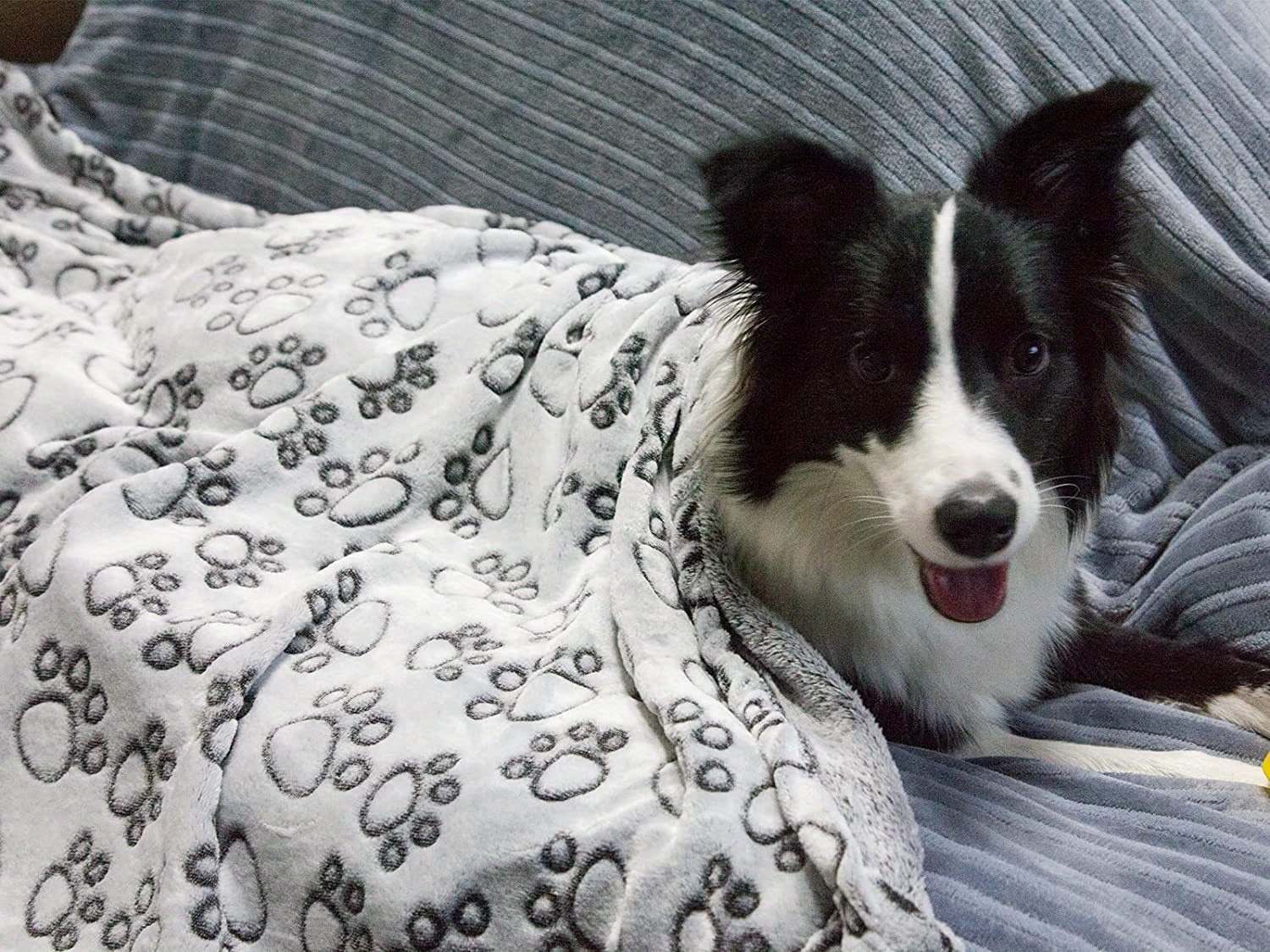 Pet Blanket Fleece Fluffy Mat - Temu United Arab Emirates