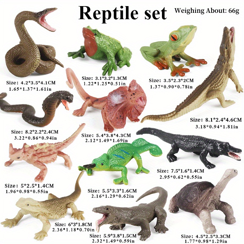 Cute Reptile Model Set Lizard Chameleon Frog Geckos Snake - Temu Australia