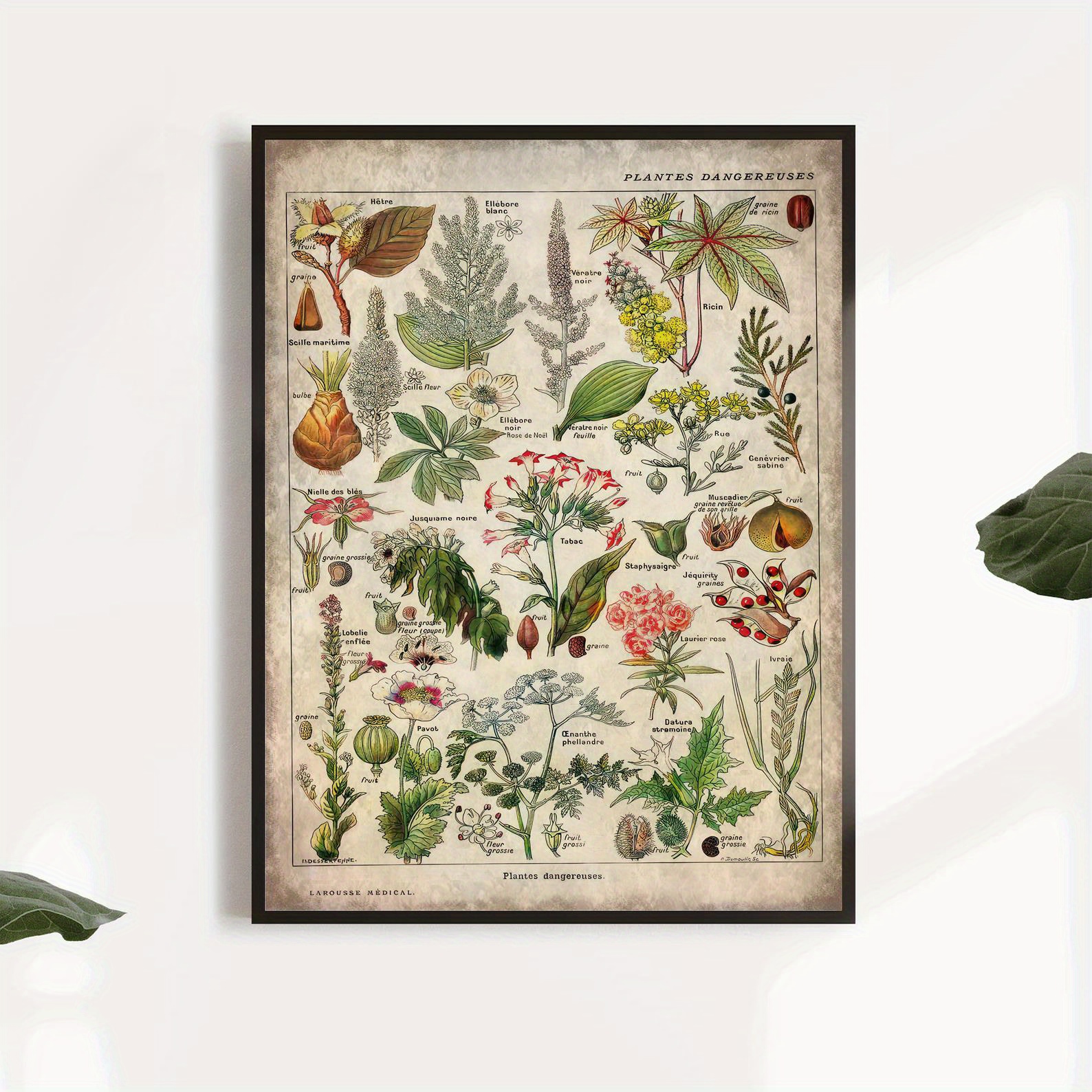 retro canvas print poster plantes hemp part wall - Temu Australia