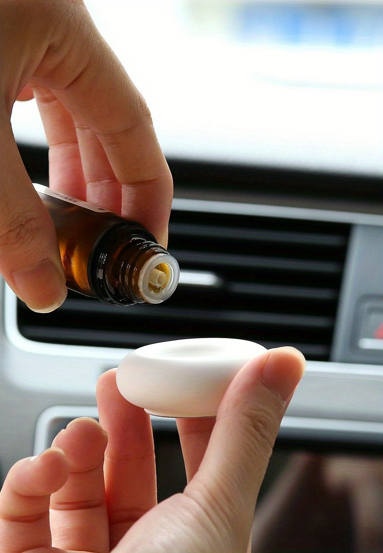 diatomite fireless essential oil aromatherapy kit car - Temu United ...