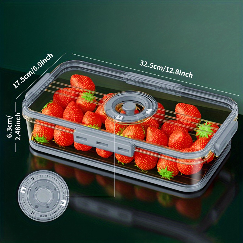 Food Storage Container Dumplings Organizer Transparent Food - Temu ...