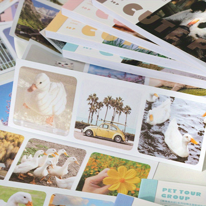 Sticker Book Cute Pet Sightseeing Group Series Animal - Temu United Kingdom