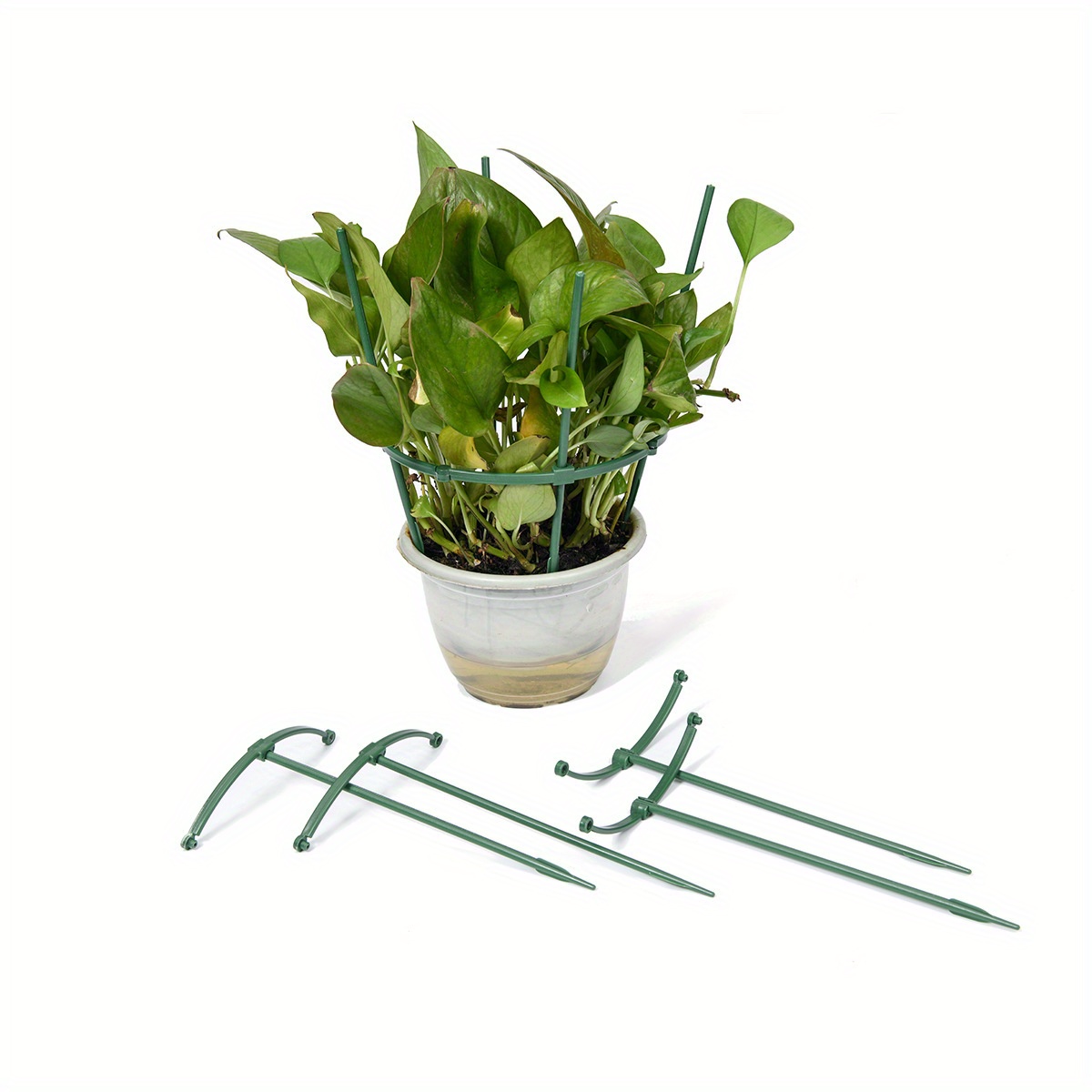 8個 植物クライミングフレーム 植物サポート 庭の花サポート ステーク Diy 植物ホルダー フラワートレリス 鉢植えの Temu Japan