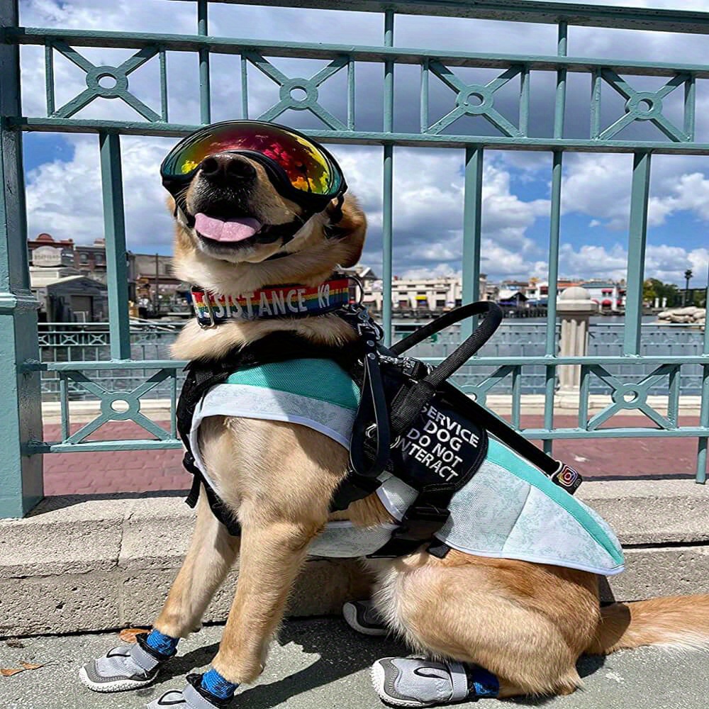 4個の通気性のあるペットシューズ、中型犬と大型犬用の快適な犬用屋外防滑シューズ Temu Temu Japan